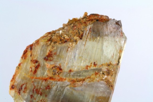 diaspore - Patrick Voillot