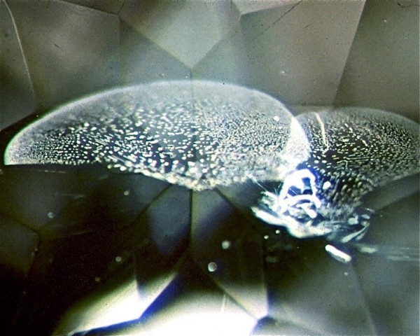 sapphire - Patrick Voillot